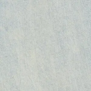 Loewe Denim Anagram Shorts