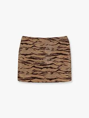 Elisabetta Franchi Embroidered Mini Skirt - Brown