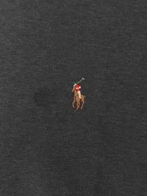 Polo Ralph Lauren Cotton Turtleneck