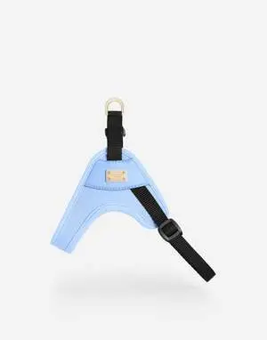 Dolce & Gabbana Dog Harness Dog Accessories - Azure