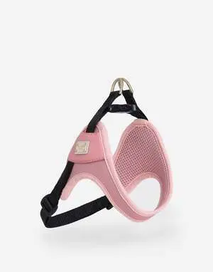 Dolce & Gabbana Dog Harness - Pink