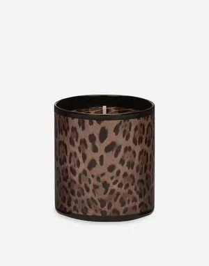 Dolce & Gabbana Scented Candle Patchouli Glass Candles