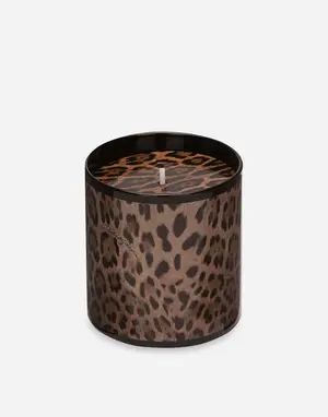 Dolce & Gabbana Scented Candle Patchouli Glass Candles