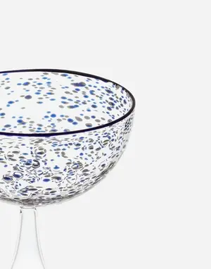 Dolce & Gabbana Champagne Glass Champagne Glasses