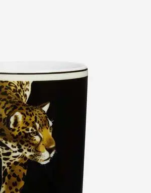 Dolce & Gabbana Porcelain Water Glass Water Glasses