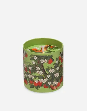 Dolce & Gabbana Scented Candle Sicilian Orange Glass Candles