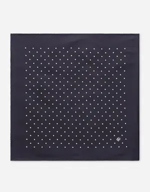 Dolce & Gabbana Silk Jacquard Pocket Square With Dg Logo Ties And Pocket Squares Silk - Blue