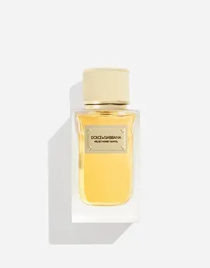 Dolce & Gabbana Velvet Honey Santal 100m Velvet Collection - -