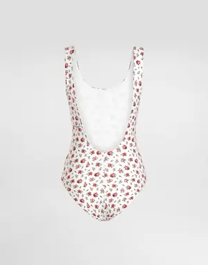 Dolce & Gabbana Rose-print One-piece Swimsuit - Multicolor