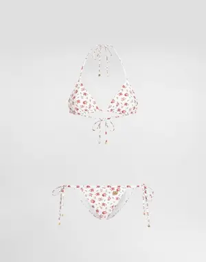 Dolce & Gabbana Small Rose-print Triangle Bikini Swimwear - Multicolor