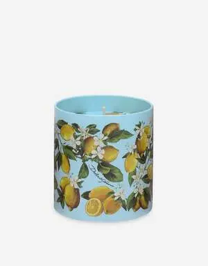 Dolce & Gabbana Candela 380g Glass Candles - Multicolor