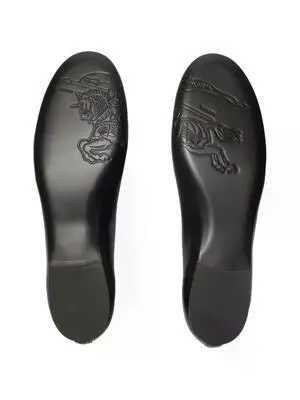 Burberry Robin