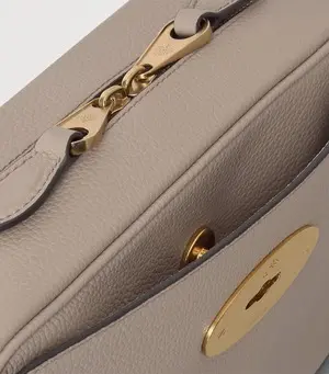 Mulberry Leather Darley Camera Bag