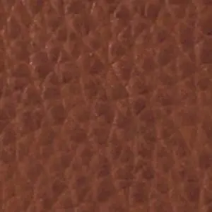 Mulberry Leather Darley Camera Bag