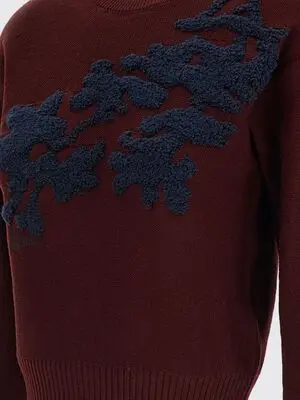 Erdem Jumper Colour
