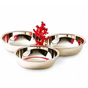 MARLETH Three-bowl Dish Coral Accent - Silver