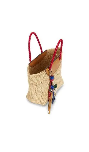Madewell Raffia Mini Tote Bag
