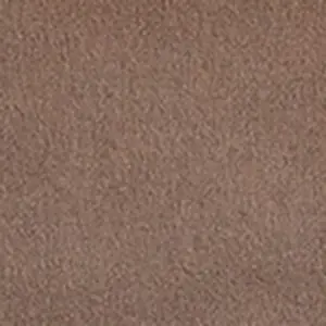 Johnstons Of Elgin Cashmere Ombré Scarf