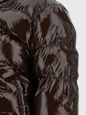 Pinko Quilted Water-repellent Nylon Short Puffer Jacket With High Neck - Brown