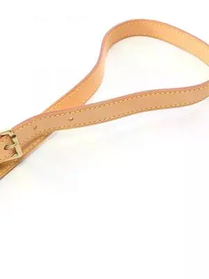 LOUIS VUITTON Monogram Canvas Viva Cite Shoulder Bag