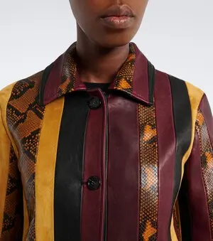 Proenza Schouler Sirine Snake-effect Striped Leather Jacket