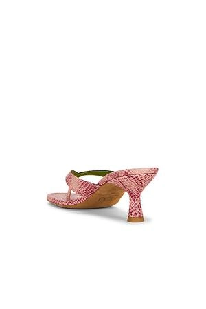 NOU Kitty Sandal