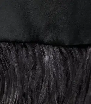 Fabiana Filippi Satin Ostrich Feather-trim Blouse