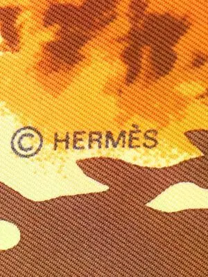Hermès 2010s Africa Silk Scarf