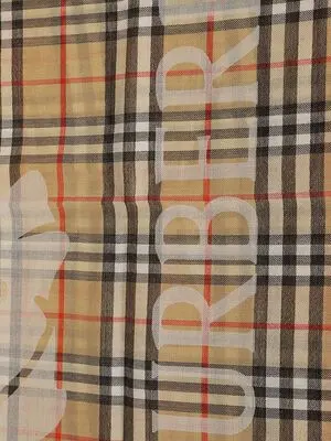 Burberry Neckerchief Colour