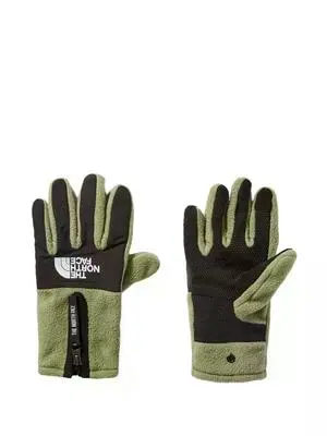 The North Face Denali Etip Gloves - Green
