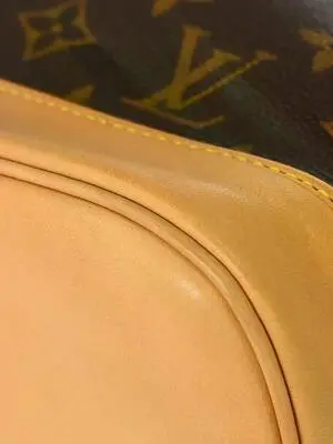 LOUIS VUITTON 2019 Petite Noé Bucket Bag