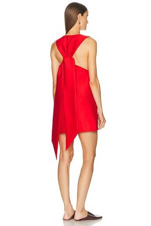 SRG Daniel Mini Dress