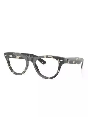 Ray-ban Tortoise Glasses