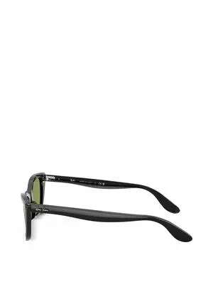 Ray-ban Lady Burbank Cat-eye Sunglasses