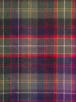 Barbour Tartan Fringed Scarf