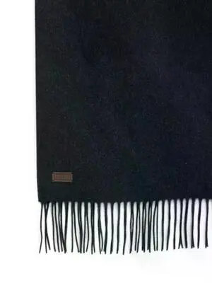 Canali Logo-patch Fringed Scarf - Blue
