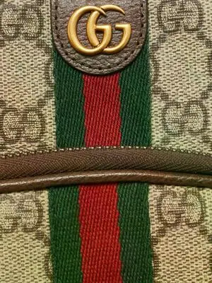 Gucci Ophidia Gg Supreme Crossbody Bag