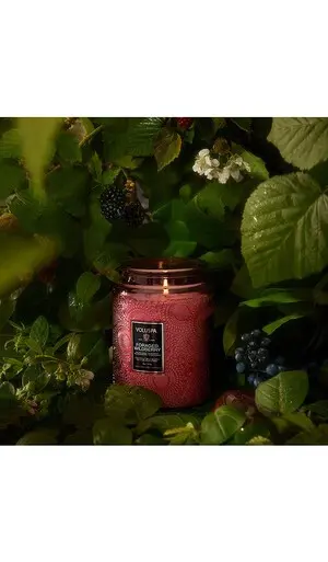 Voluspa Foraged Wildberry Large Jar