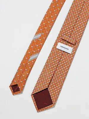 FERRAGAMO Tie Colour