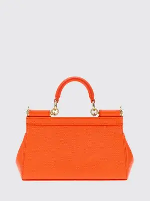 Dolce & Gabbana Handbag Colour