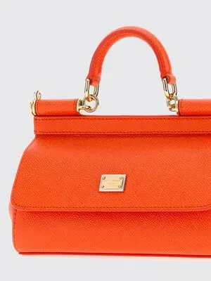 Dolce & Gabbana Handbag Colour