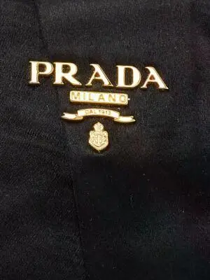 Prada Pleated Frame Clutch Bag