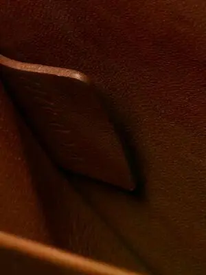 Celine 2022 Triomphe Claude Shoulder Bag
