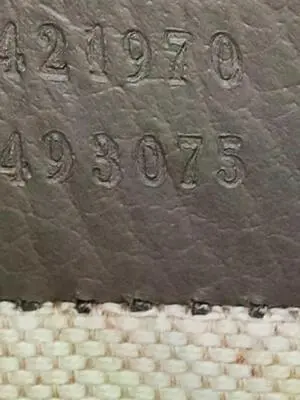 Gucci Mini Dionysus Cross Body Bag