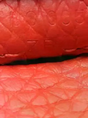 Hermès Clemence Evelyne I Tpm Crossbody Bag - Red