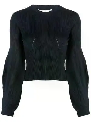 Stella McCartney Ribbed-knit Crewneck Jumper - Blue