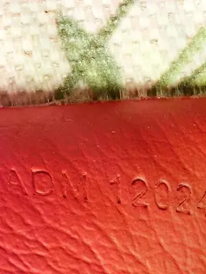 Goyard 2024 Poitiers Goyardine Tote Bag