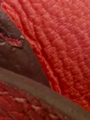 Hermès Birkin 35 Tote Bag