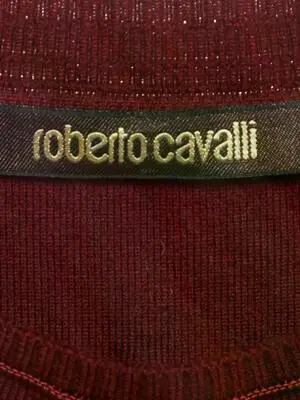 Roberto Cavalli Mesh Panel Bodycon Mini Dress