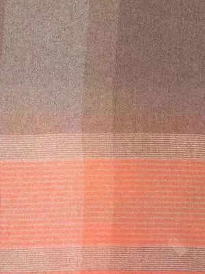 D'ANIELLO Check Frayed Scarf